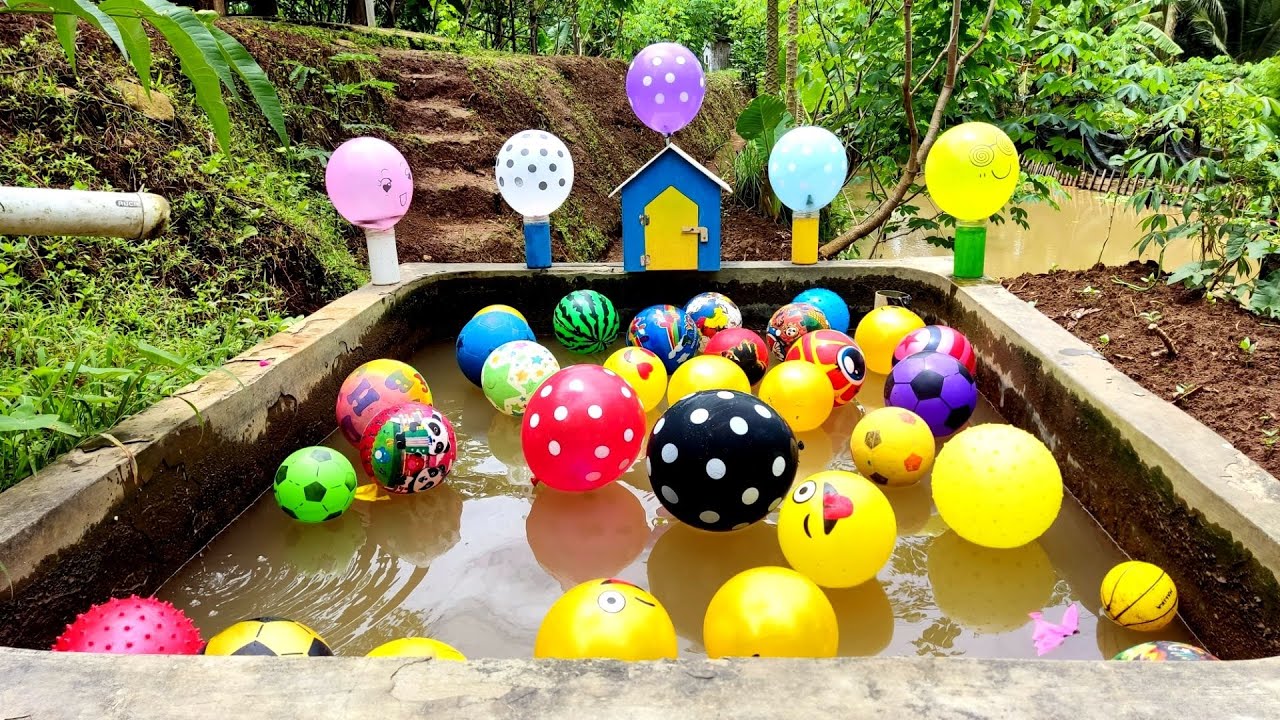 WaaaaW POPPING BALOONS DI KOLAM IKAN, BALON MELETUS, BALON SURPRISE ...