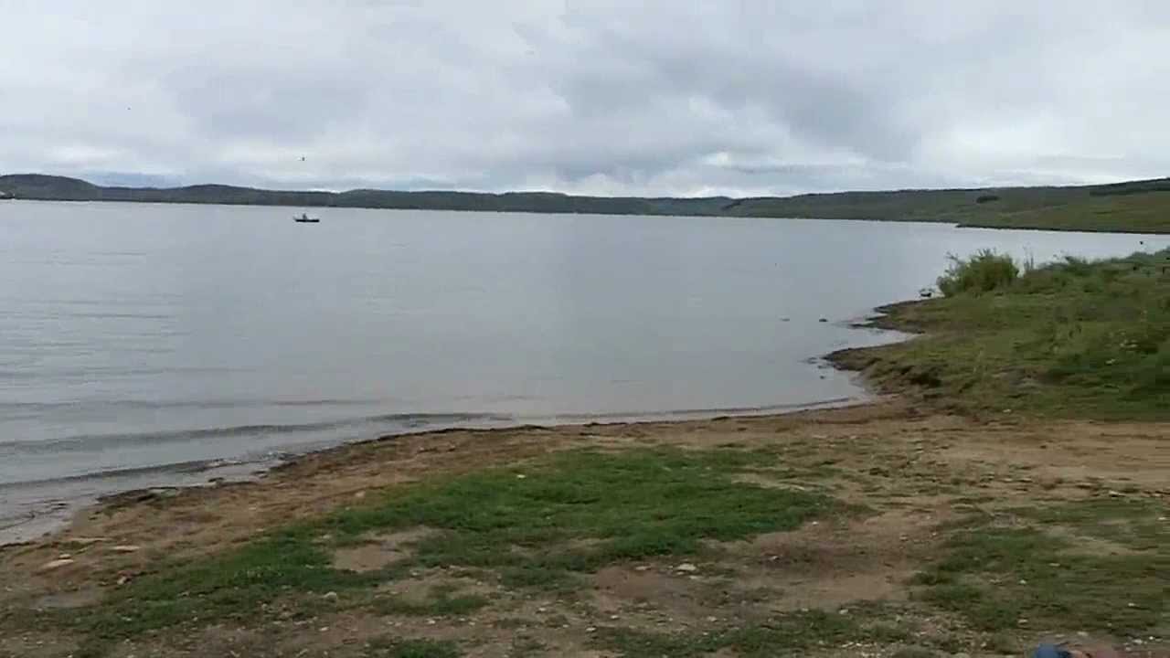 Catching Crawfish with the Kids - YouTube