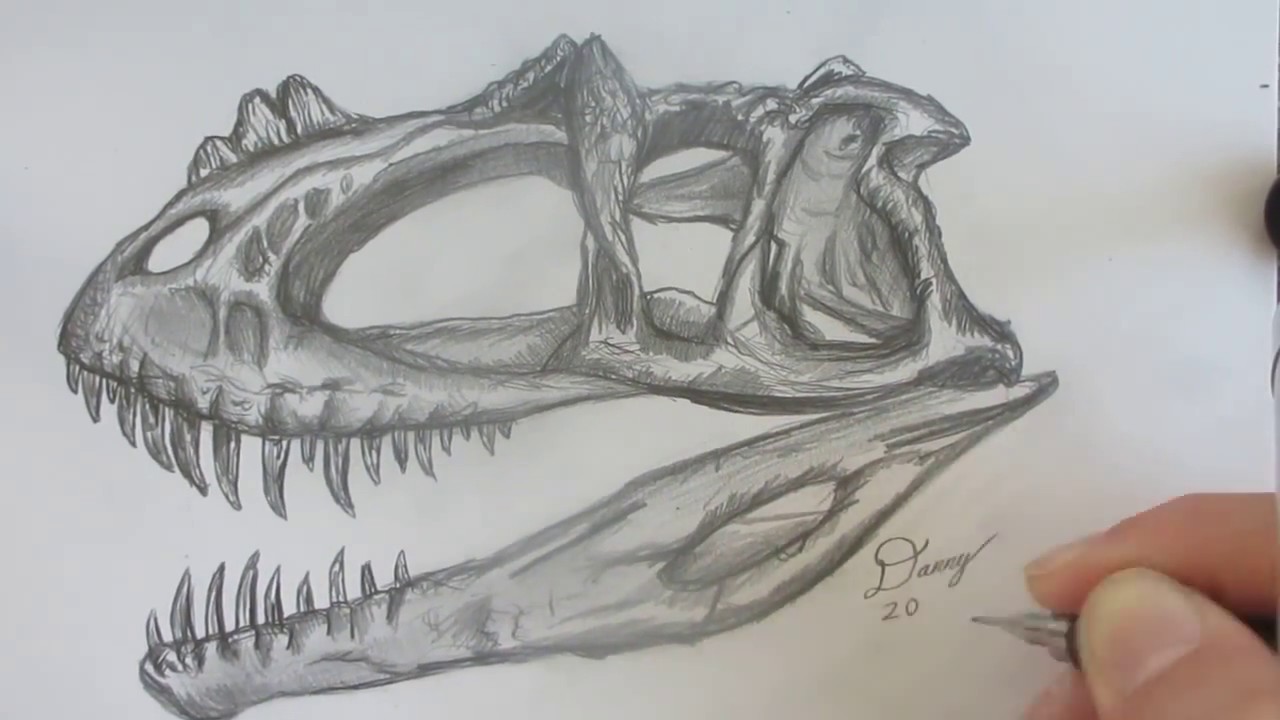 Speed Drawing a Ceratosaurus Skull. -Danny the Dinosaur Drawer - YouTube