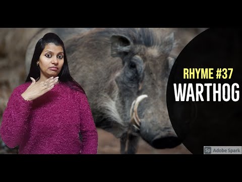 Rhyme #37 | Warthog | Rhyme for Kids - YouTube