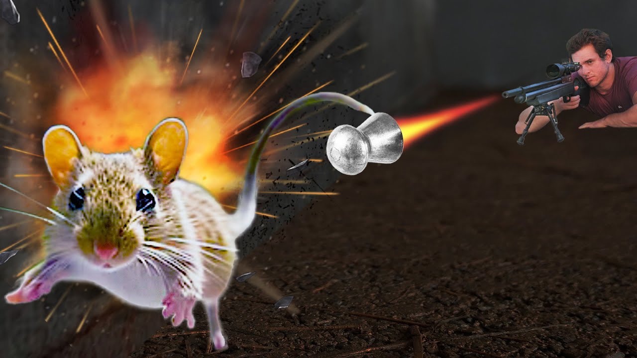 Hunting with Explosive Tannerite Pellets! - YouTube