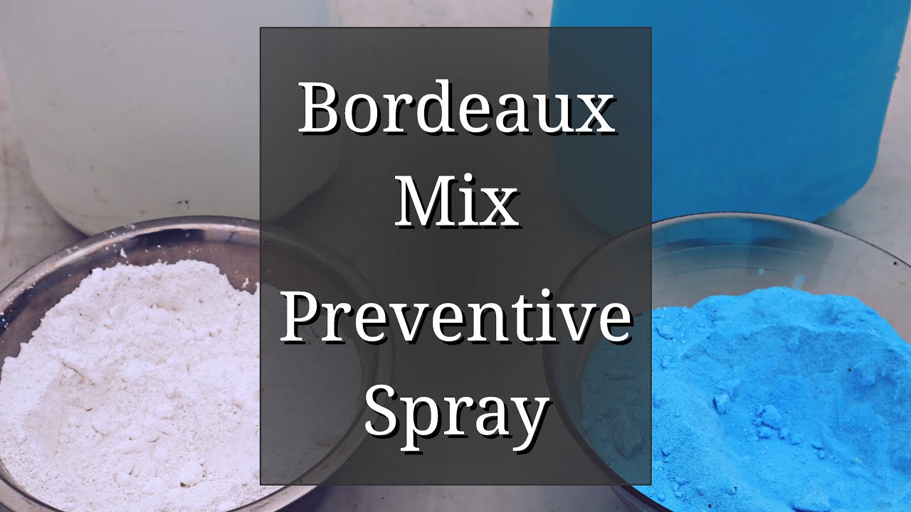 Bordeaux Spray Recipe | Deporecipe.co