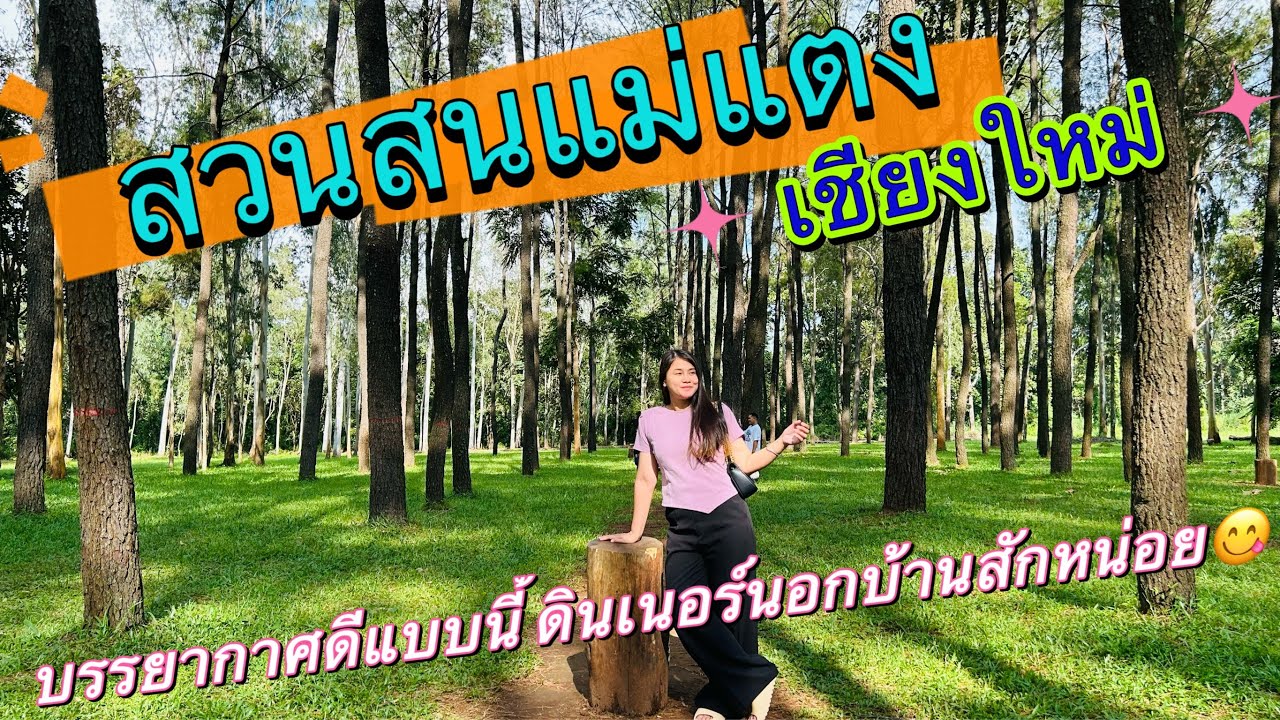 สวนสนแม่แตง บรรยากาศแบบนี้ ดินเนอร์นอกบ้านสักหน่อย (Forest in Mae Tang ...