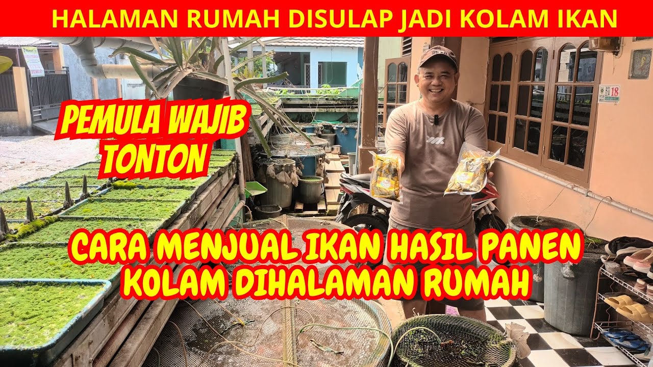 CARA MENJUAL IKAN || UNTUNG DOBEL DARI TERNAK IKAN DAN DARI MENGOLAH ...
