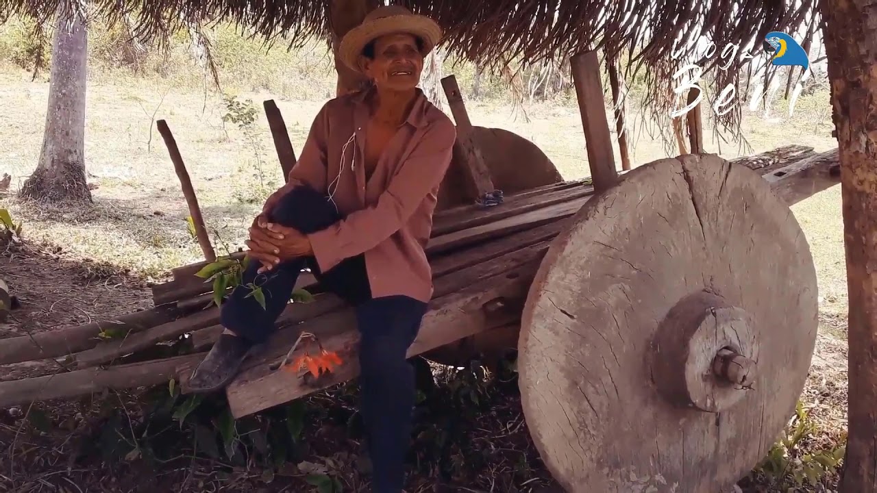 El jichi del pueblo viejo de San ignacio de Moxos (Ichasi Awasare ...