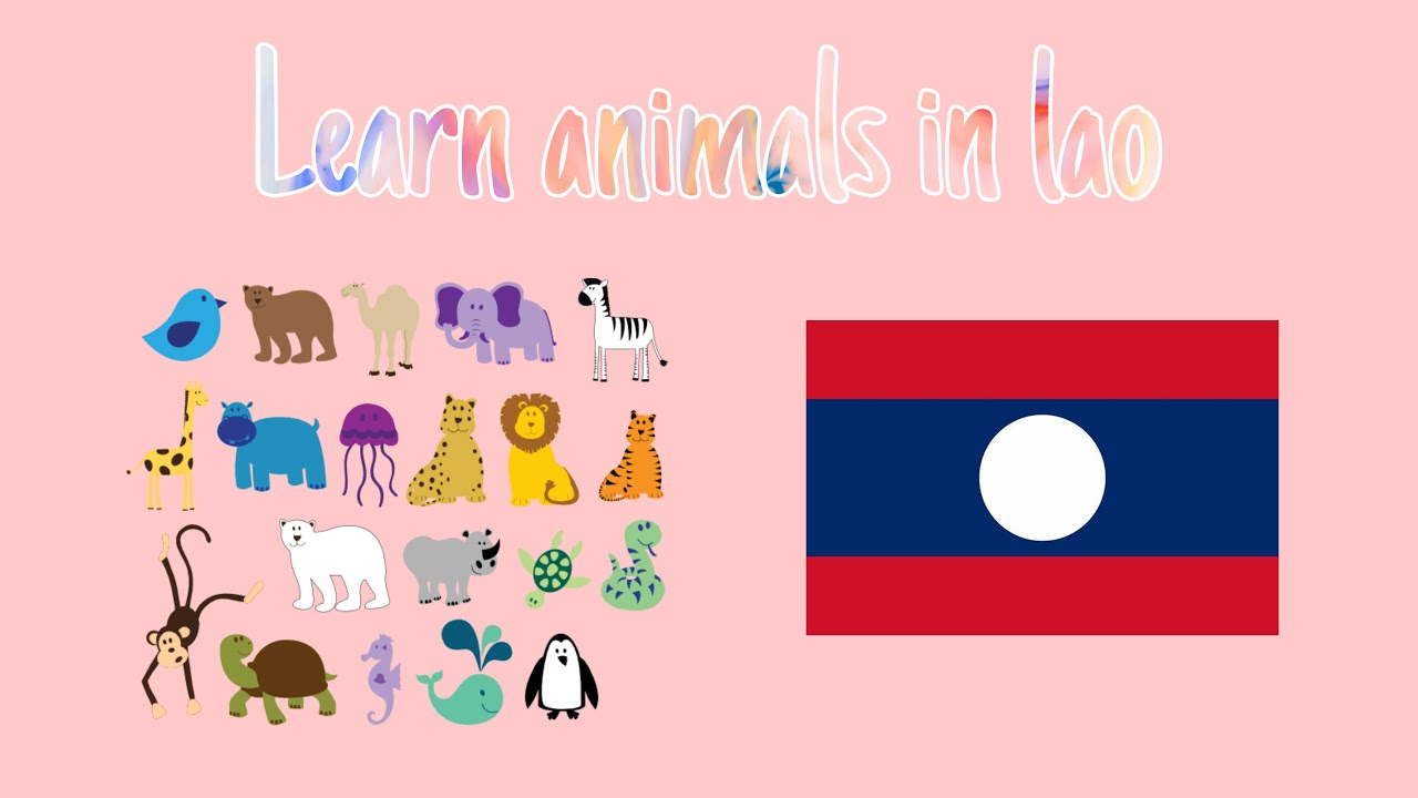 Learning lao Ep.13 || Animals in lao 🇱🇦 || Nickar PNP - YouTube