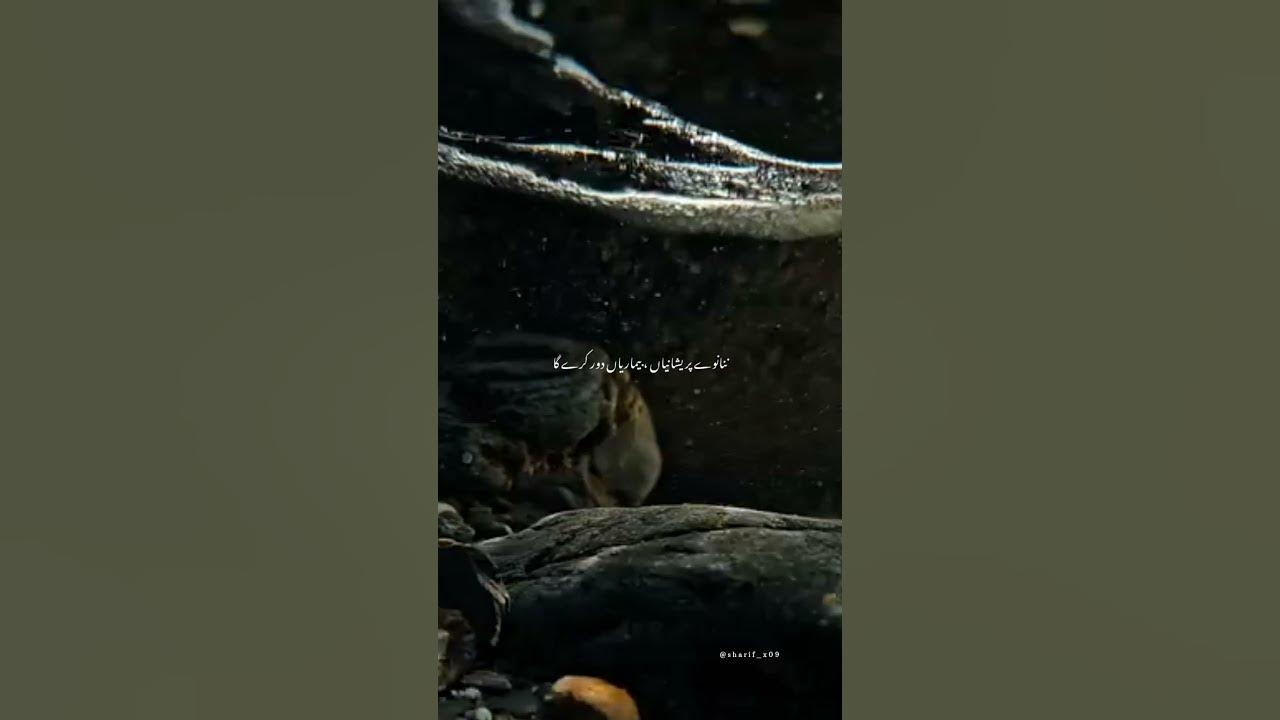 @sharif_x09 #youtubeshorts #trendingshorts - YouTube