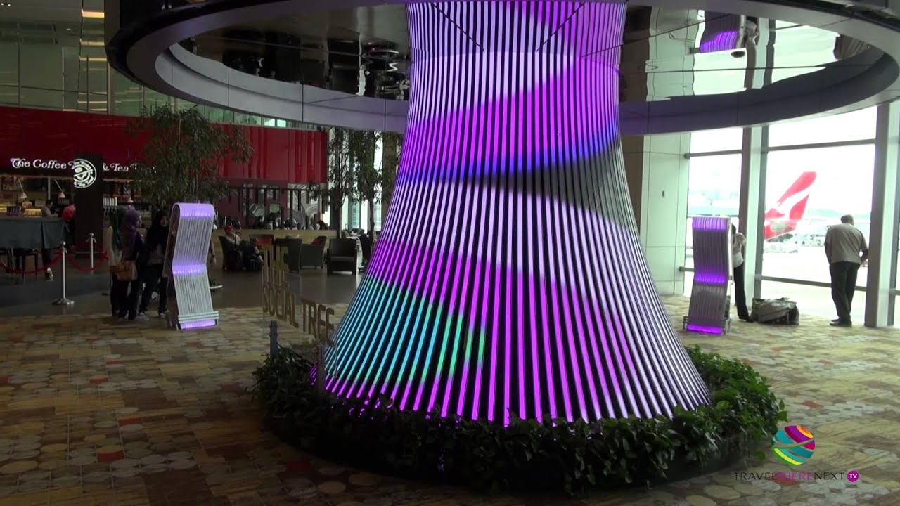 Social Tree Singapore Changi Airport - YouTube