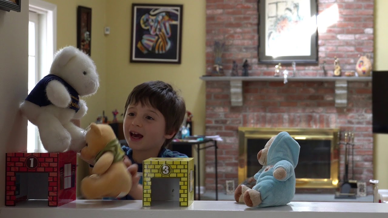 Three Bears are Building Houses in the Time of Corona - YouTube