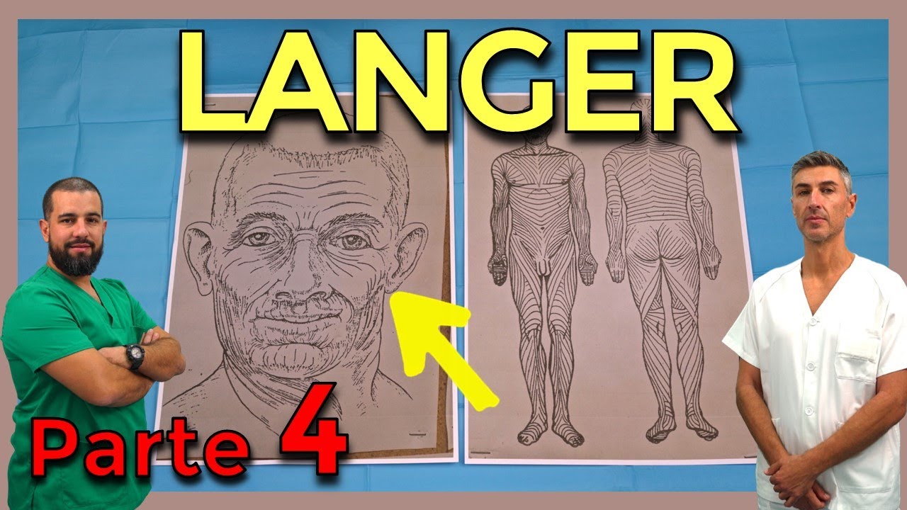 LÍNEAS de LANGER – CIRUGÍA MENOR y SUTURAS (Parte 4) - YouTube