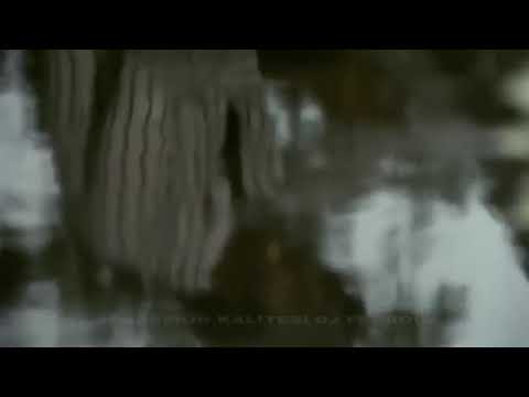 Senden bir hatıra bana bu şarkı