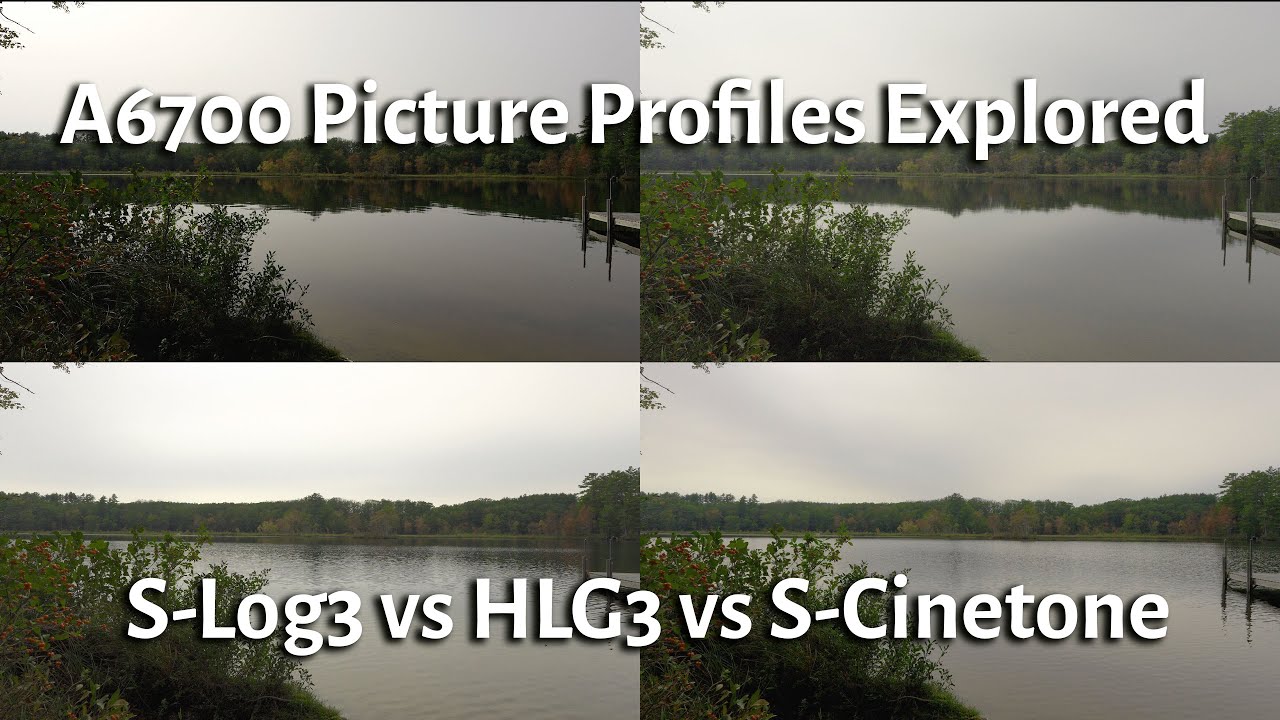 Sony A6700 Slog-3, S-Cinetone, HLG3 compared against the default no ...