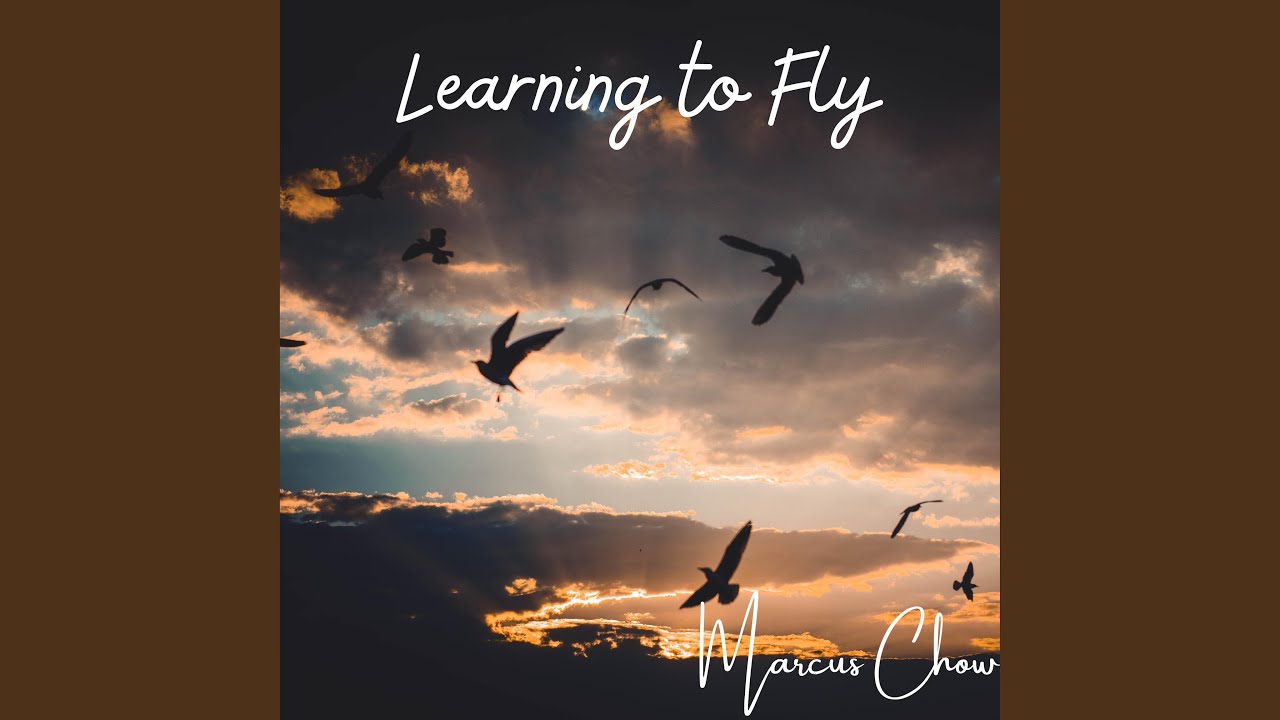 Learning to Fly (Piano Instrumental) - YouTube