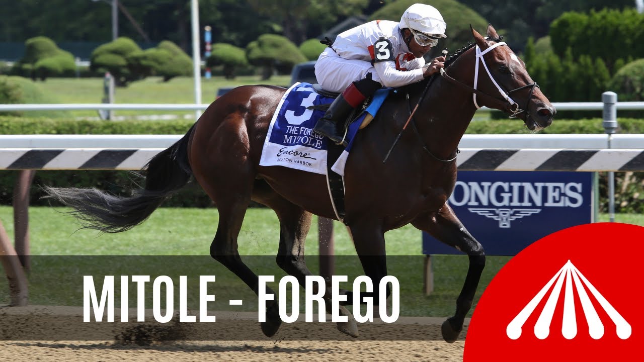 Mitole - 2019 - The Forego Stakes presented by Encore Boston Harbor ...