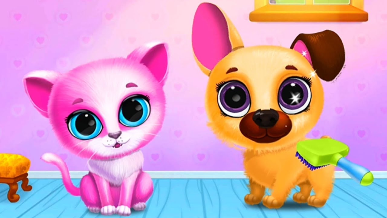 Kiki & Fifi Pet Friends😻 The Cutest Cat & Dog Kiki & Fifi Pet Friends ...