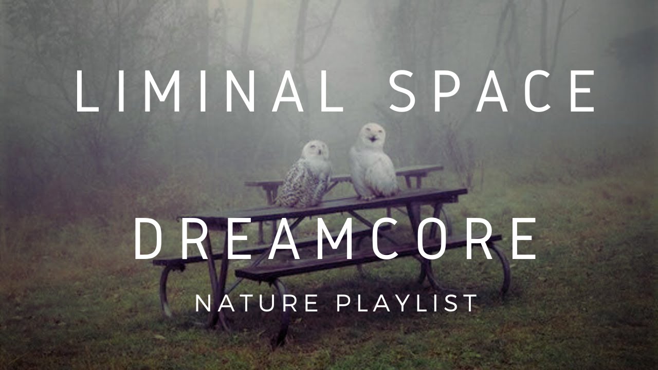 Liminal Space and Dreamcore Nature Playlist - YouTube