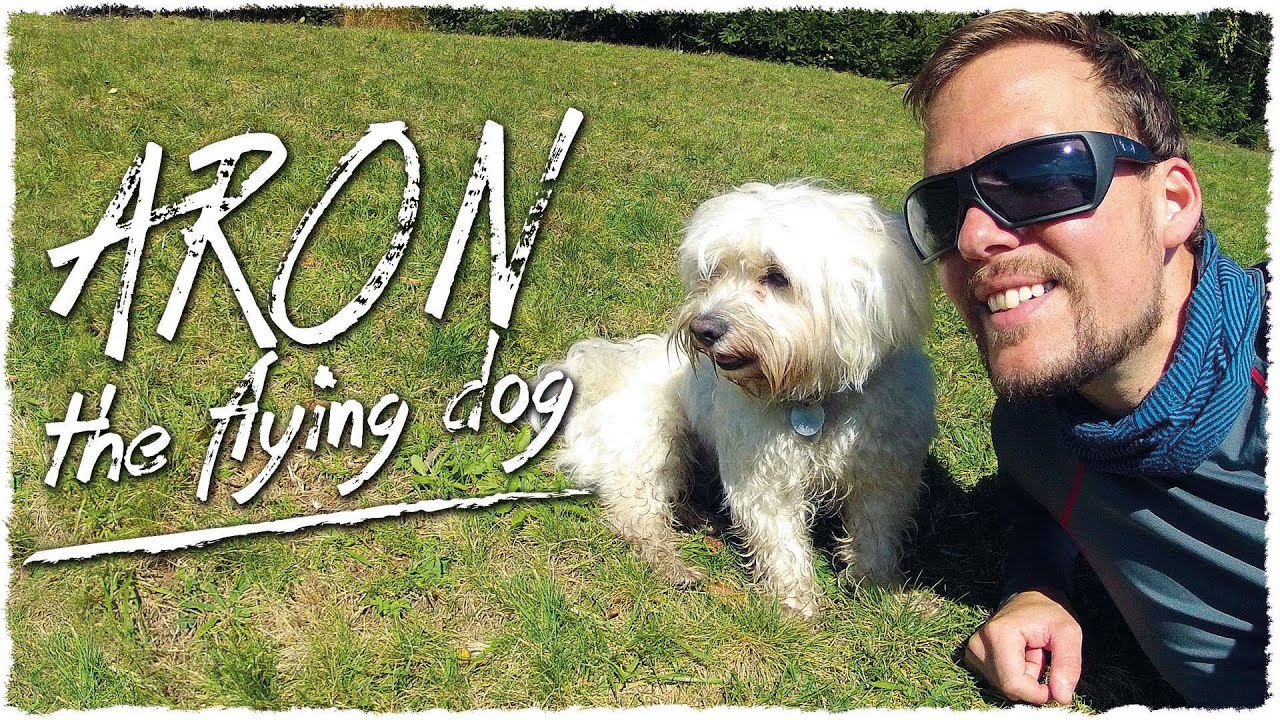Aron the flying dog 🐕 - YouTube