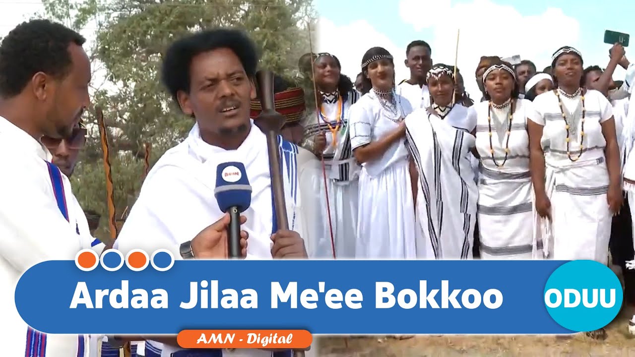 Ardaa Jilaa Me'ee Bokkoo - YouTube