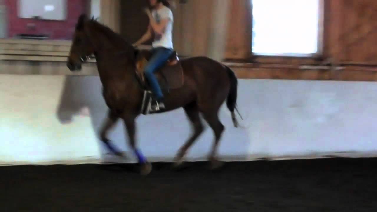 Allison + Salsa Canter L - YouTube