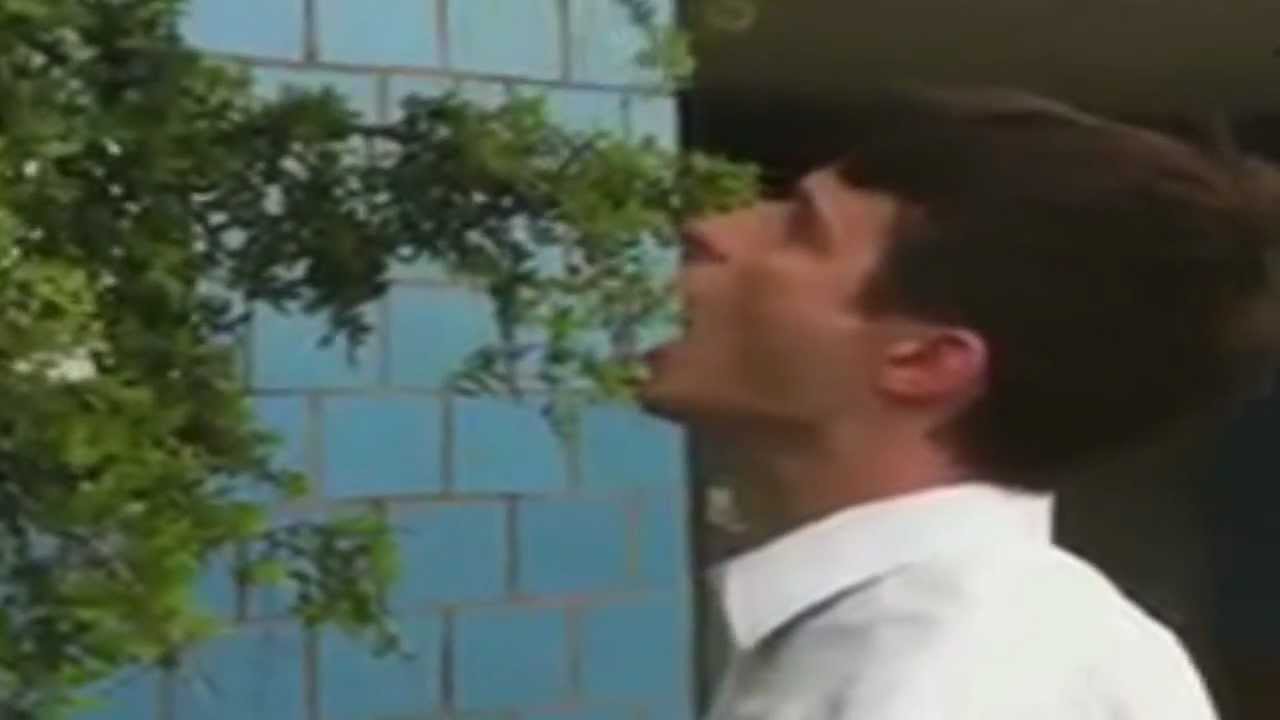 [Loud Screeching] - YouTube