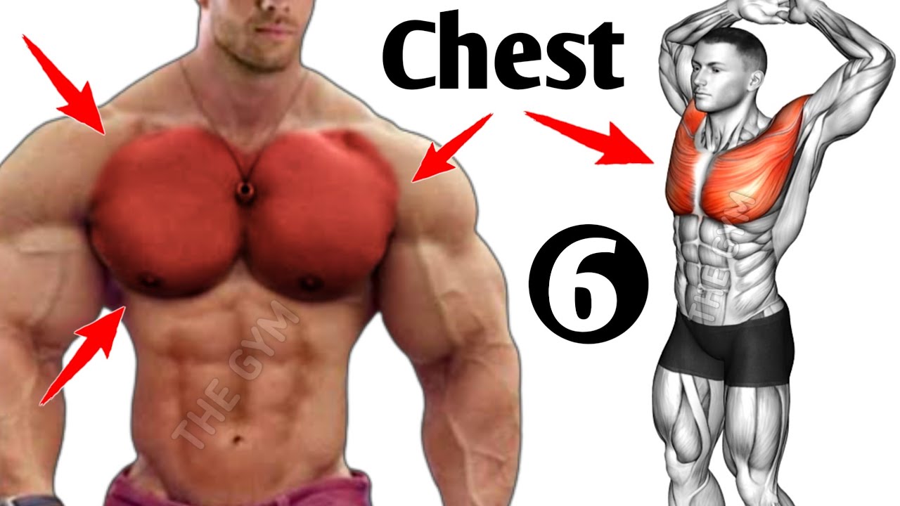 6 Big chest exercises at gym - YouTube