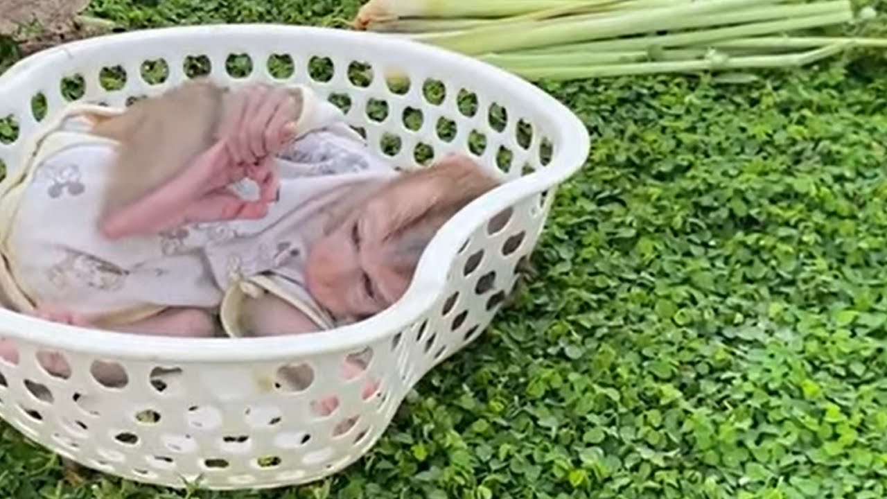 DORN Not Letting Mom Use The Basket - YouTube