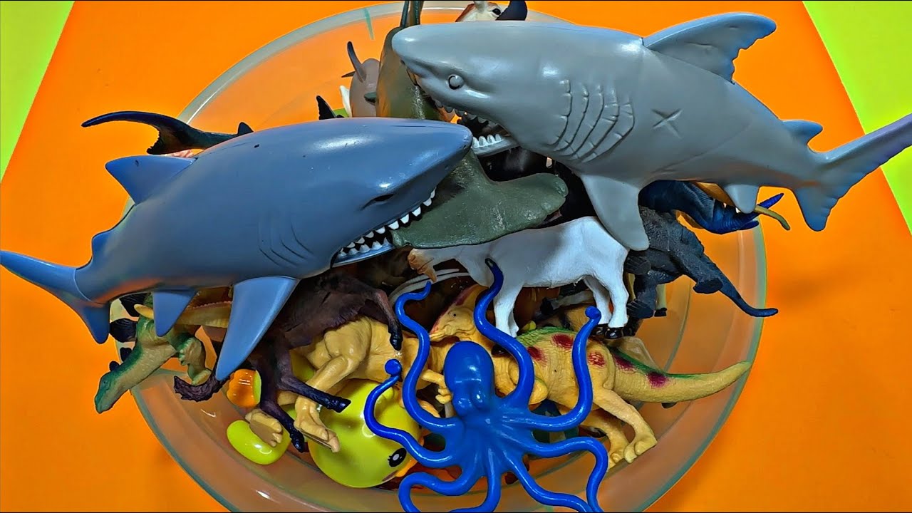 Satisfying Play With There Are Many Kinds Of Animals in The Bucket I ...