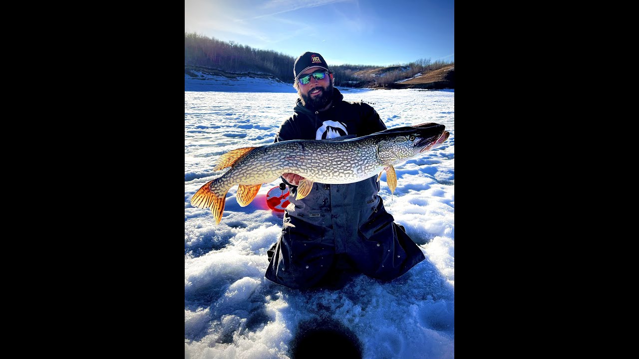Early Ice 2023 Catching a Northern Pike on a hot dog ??? - YouTube