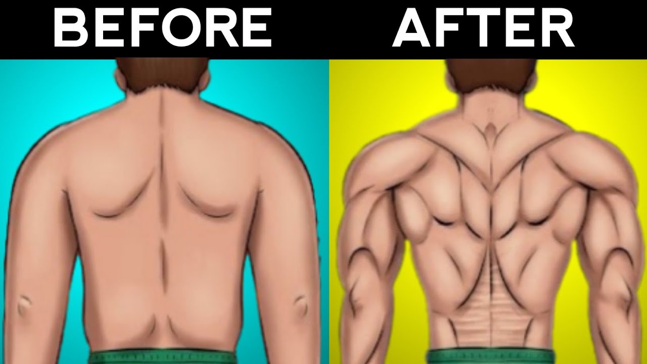 No Gym Full Back Workout at Home | Do This Back Workout From Home | No ...