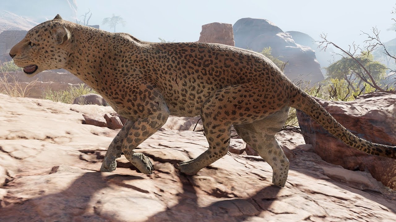 Assassin's Creed: Origins - Hunting Leopards - Open World Free Roam ...
