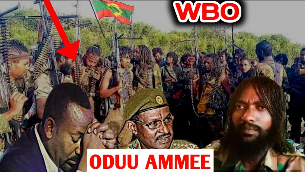 ODUU Hatattamaa Oowwituu Haaraa Jajjabduu Amma nu dhaqqabde kunoo Itti ...