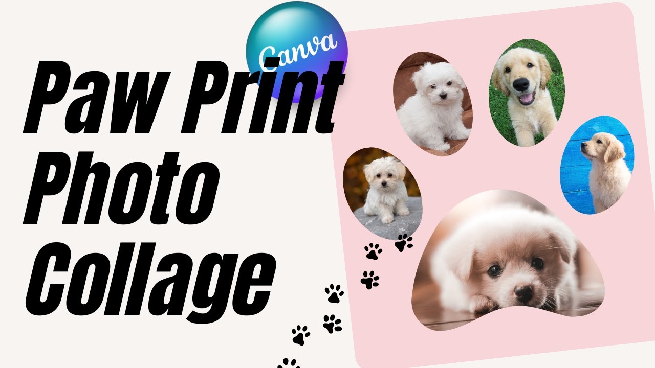 Photo Collage in Canva Tutorial | Paw-Print Photo Frame for Puppies ...