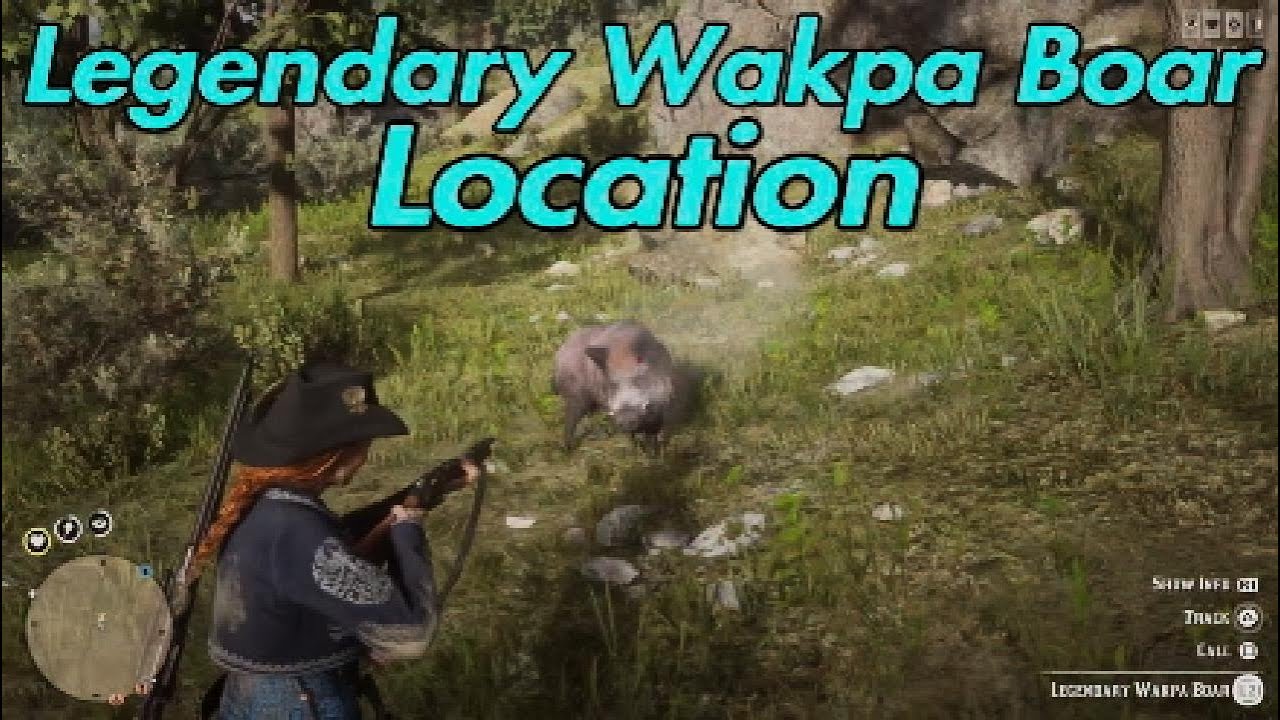 Legendary Wakpa Boar Location RDR2 Online #rdo #reddeadonline - YouTube