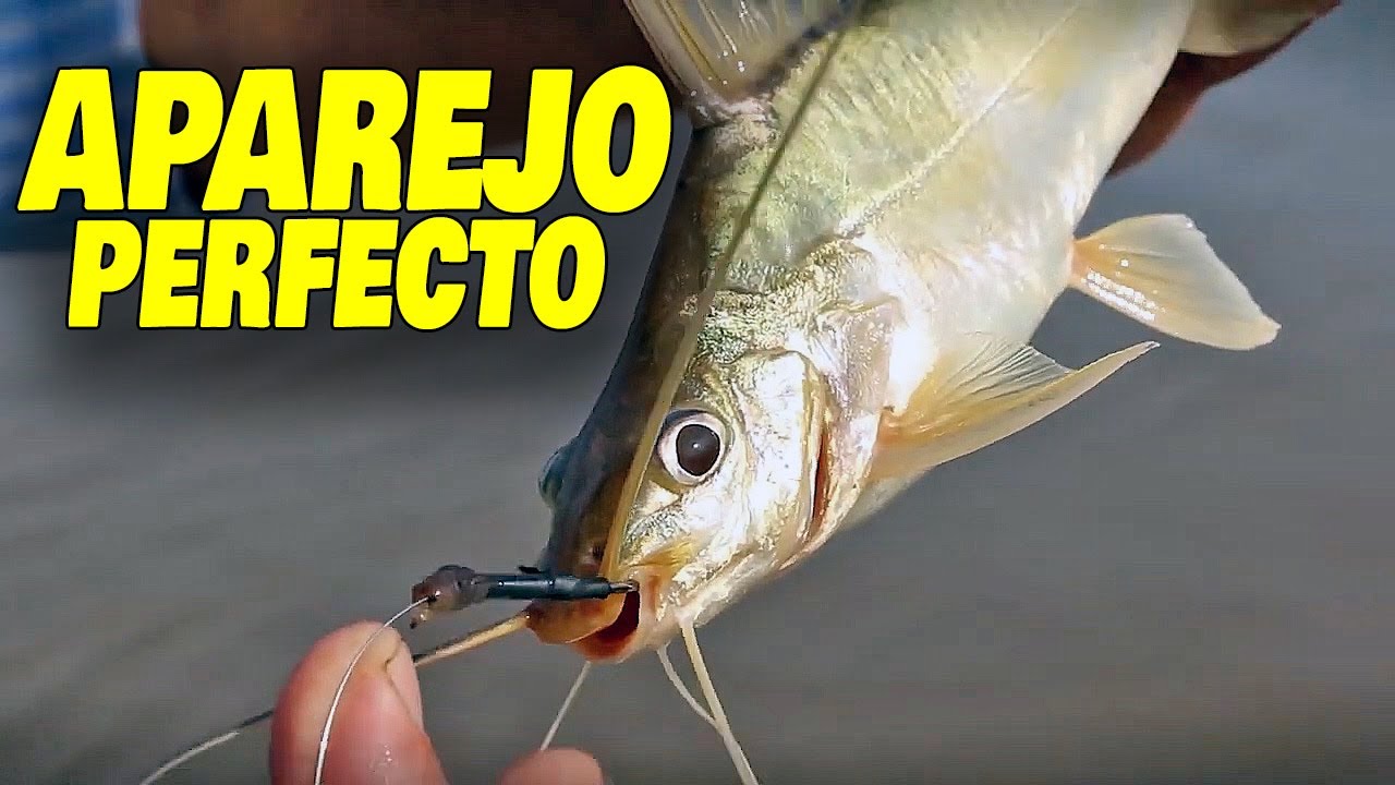 Tutorial de Pesca. #señuelos Armado de Líneas para #pesca variada de # ...