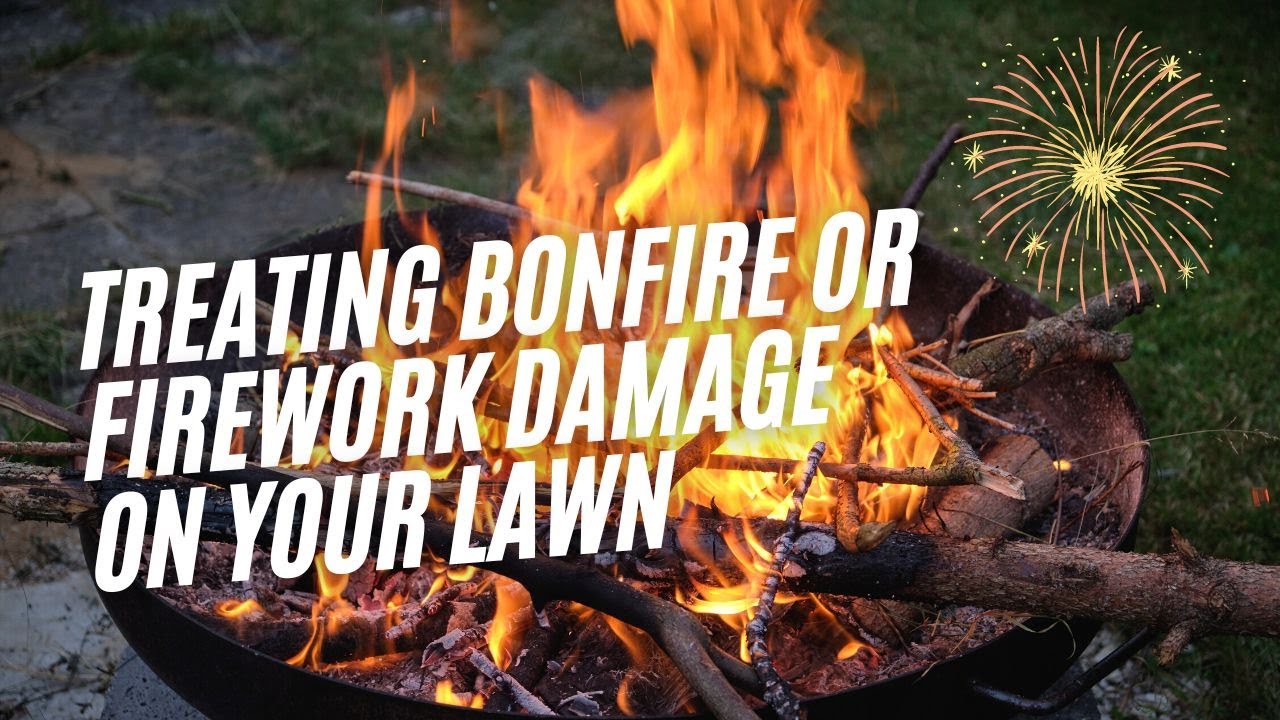 How To Treat Bonfire and Firework Damage On Your Lawn - YouTube