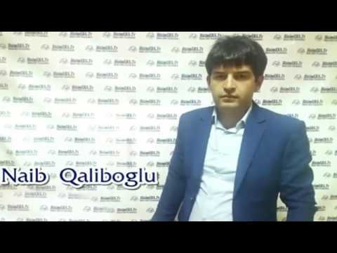 Naib Qaliboglu Mavi Gozler Toy Mahnisi 2017