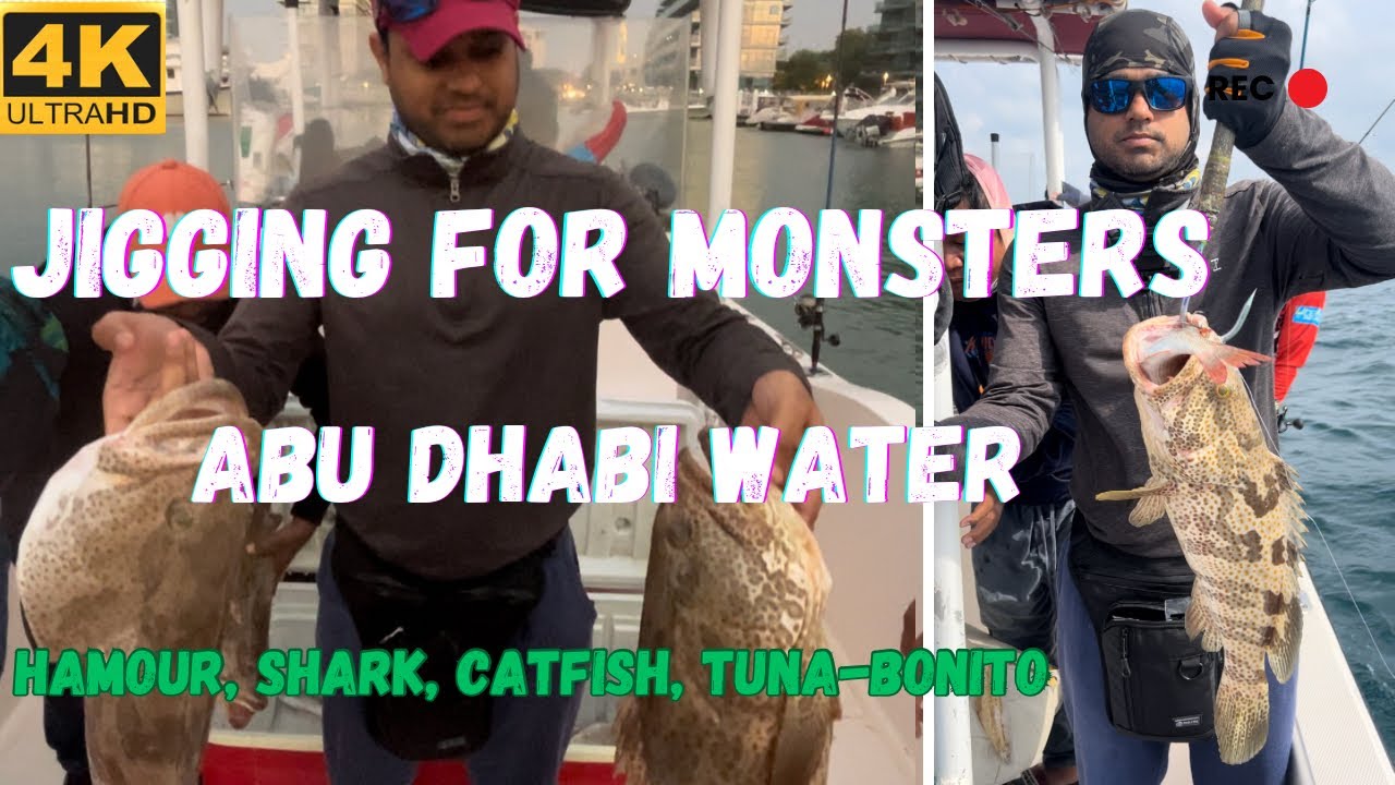 Deep Sea Trip | Hamour | Bonito | Shark | Catfish #fishing #hamour #4k ...