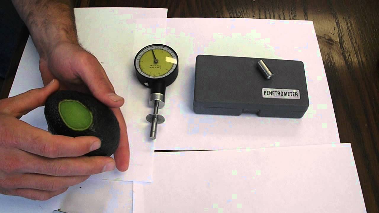 Avocado Penetrometer - YouTube