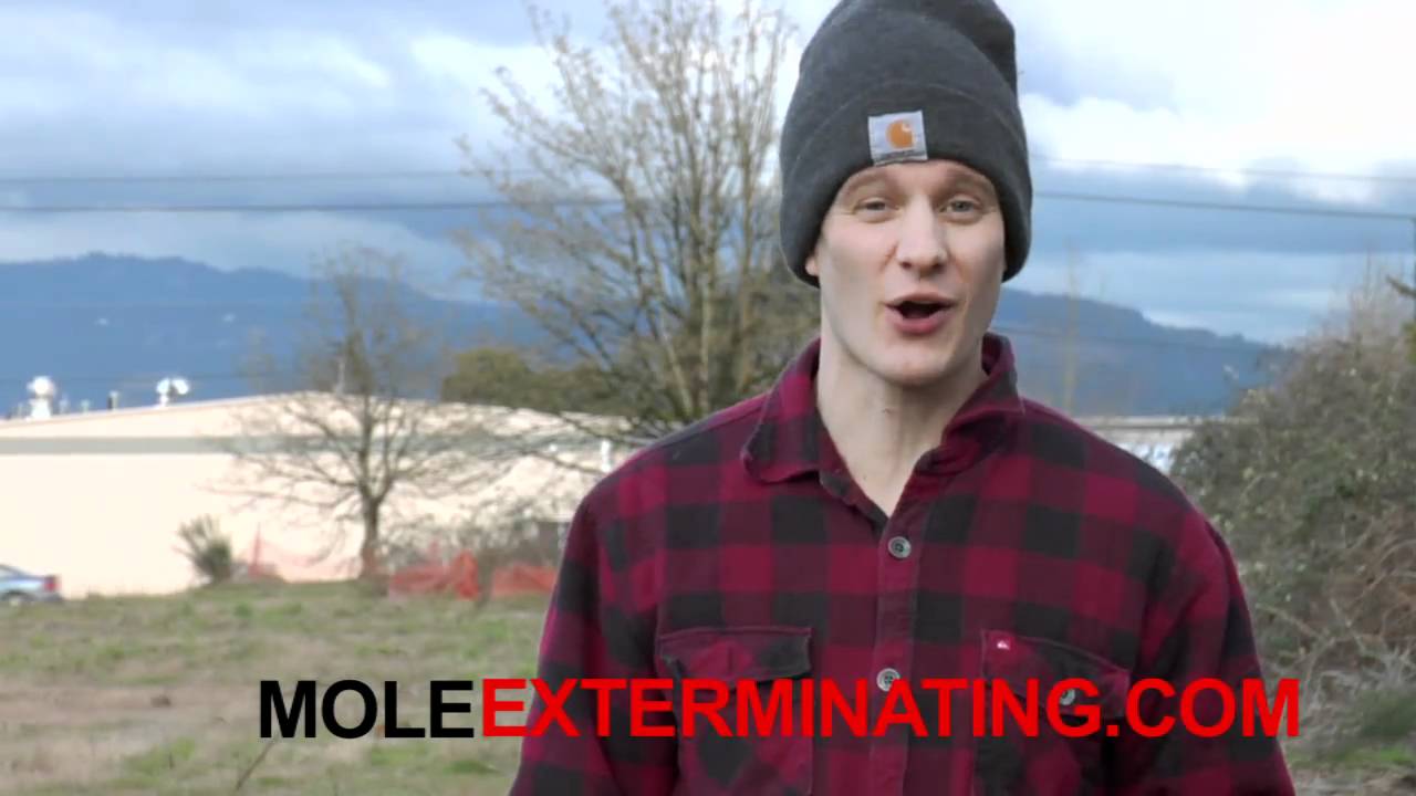 Ryan resigns at president of Ryonet - April 1st, 2011 Joke - YouTube