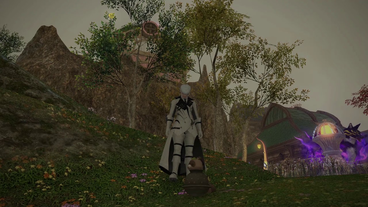 The Bom Boko is Cute AF - FFXIV Minion - YouTube