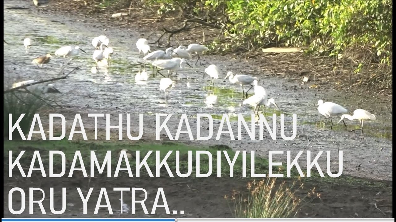 KADATHU KADANNUKADAMAKKUDIYILEKKU ORU YATRA.. - YouTube