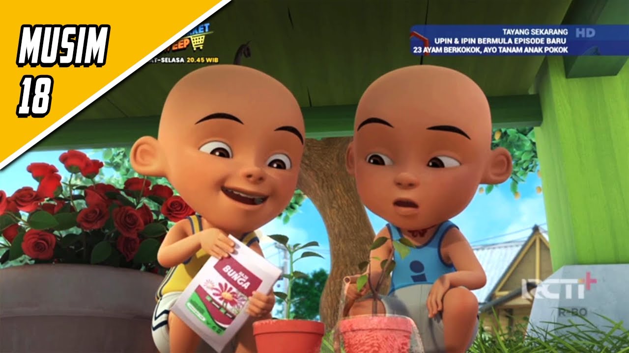 Upin & Ipin Musim 18 - Rawat Pokok Bunga | Upin Ipin Terbaru 2024 - YouTube