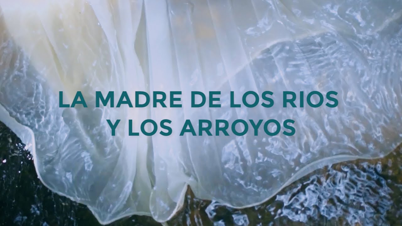 Mitos y Leyendas del NOA "La Madre de los Ríos y los Arroyos" - YouTube
