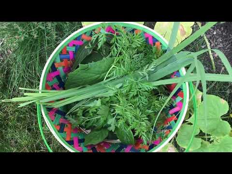 Boil chicken with herbs. Hau qaib rau tshuaj qaib 9-18-20 - YouTube