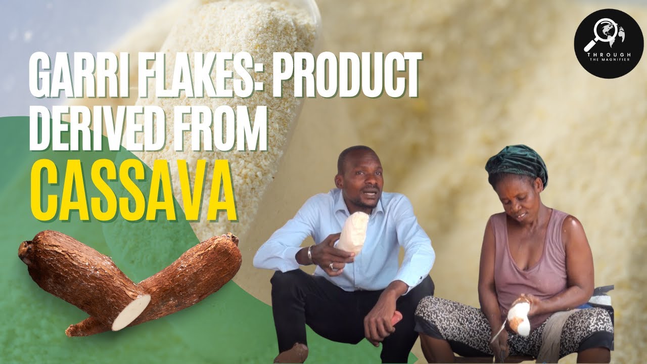 How Cassava flakes (Garri) is made in Togo. EPISODE 1(Part 1) - YouTube