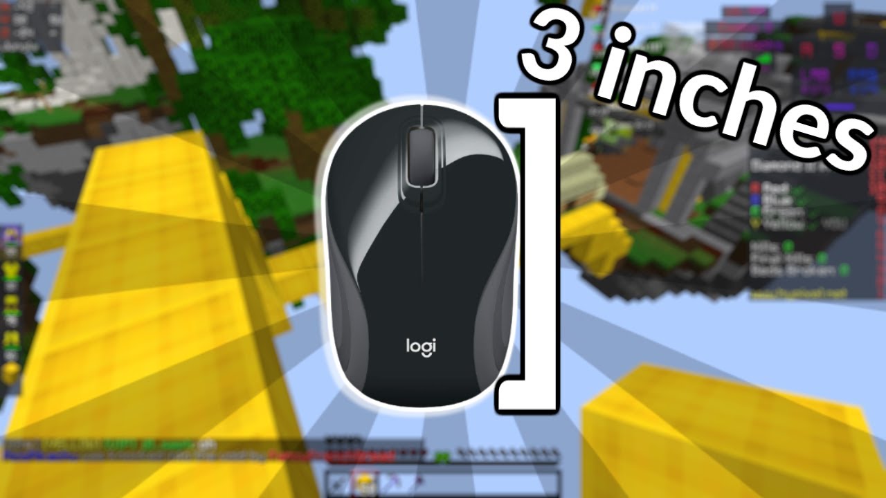 Playing Bedwars with the World's Smallest Mouse - YouTube