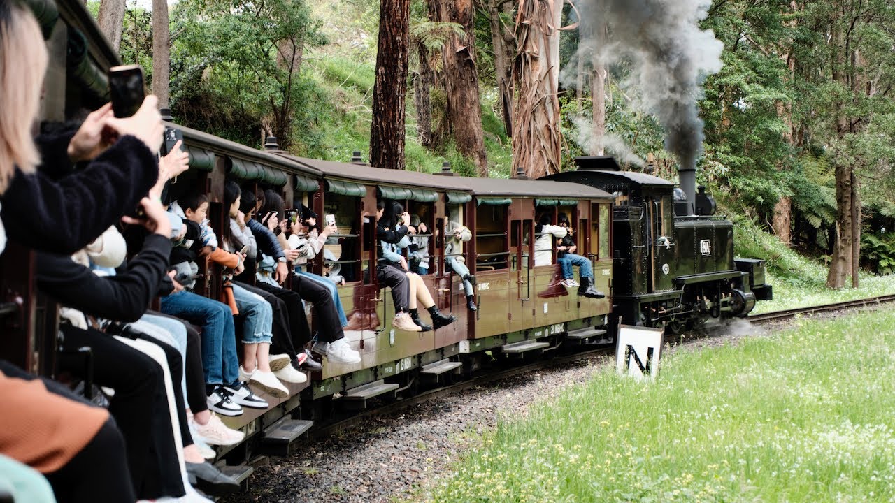 Dangling Legs on Puffing Billy: A Fun and Scenic Ride on Australia’s ...