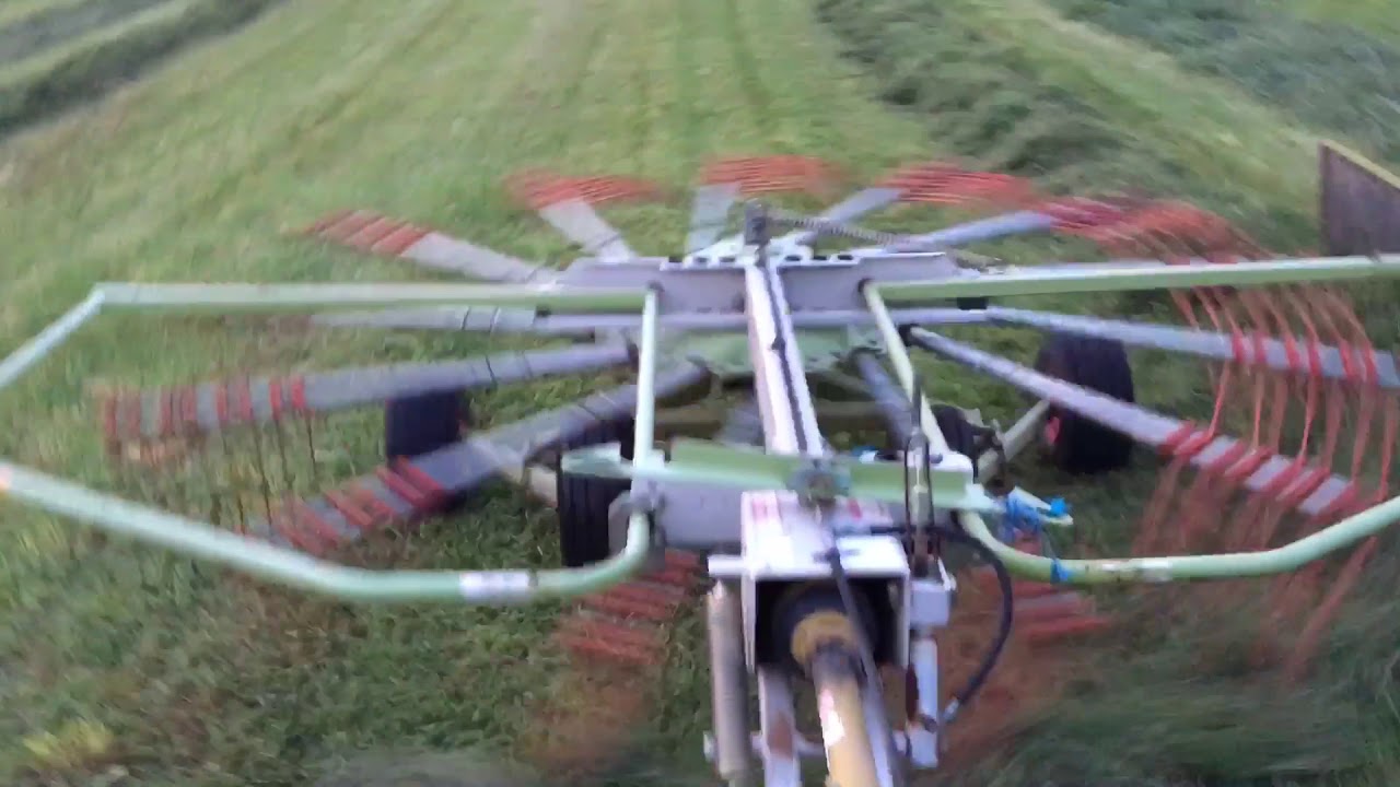 Raking 4th cutting grass alfalfa for chopping. Aug, 31 2017 - YouTube