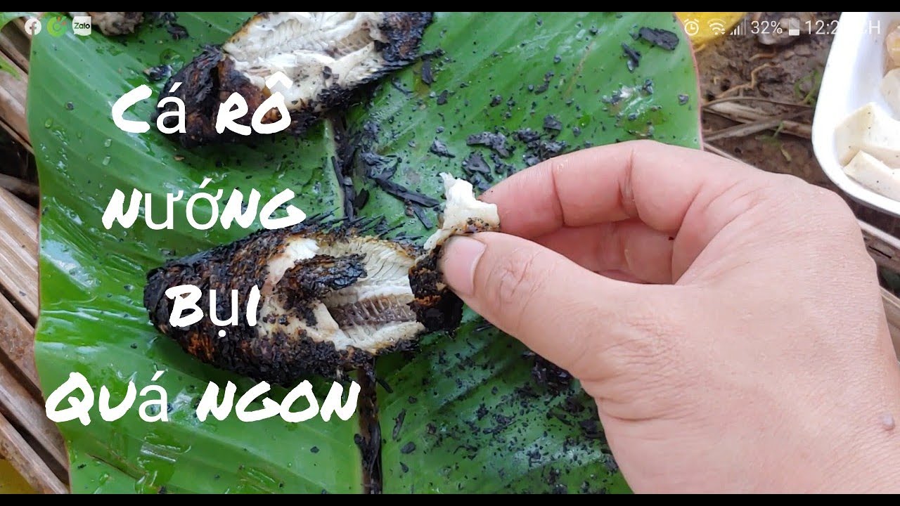 Câu cá dã ngoại ngày nghỉ lễ. @Tùng Lâm Vlogs@ - YouTube