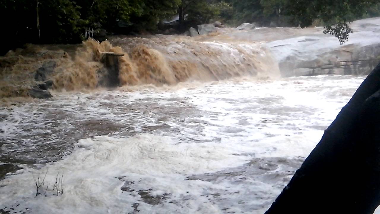 Creciendo la pinta de tierra colorada - YouTube